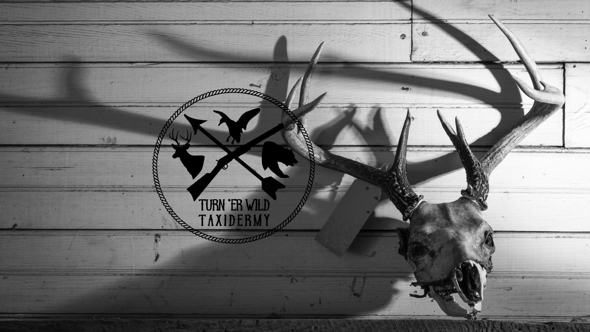 Why European Mounts Are Taking the Hunting World by Storm - Turn'er ...