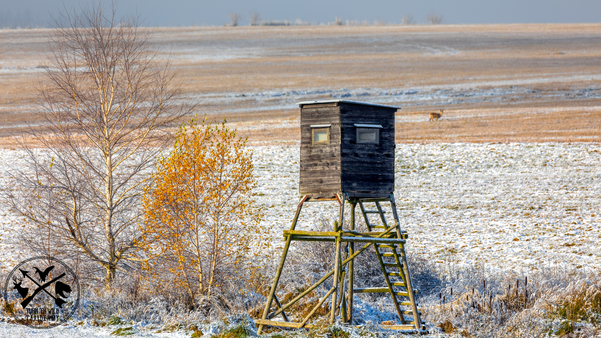 Why European Mounts Are Taking the Hunting World by Storm - Turn'er ...