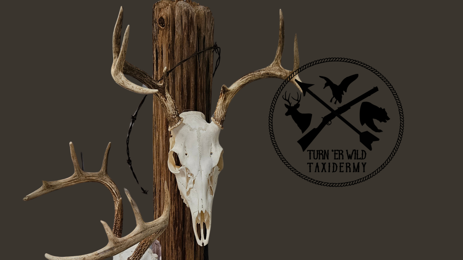 Why European Mounts Are Taking the Hunting World by Storm - Turn'er ...